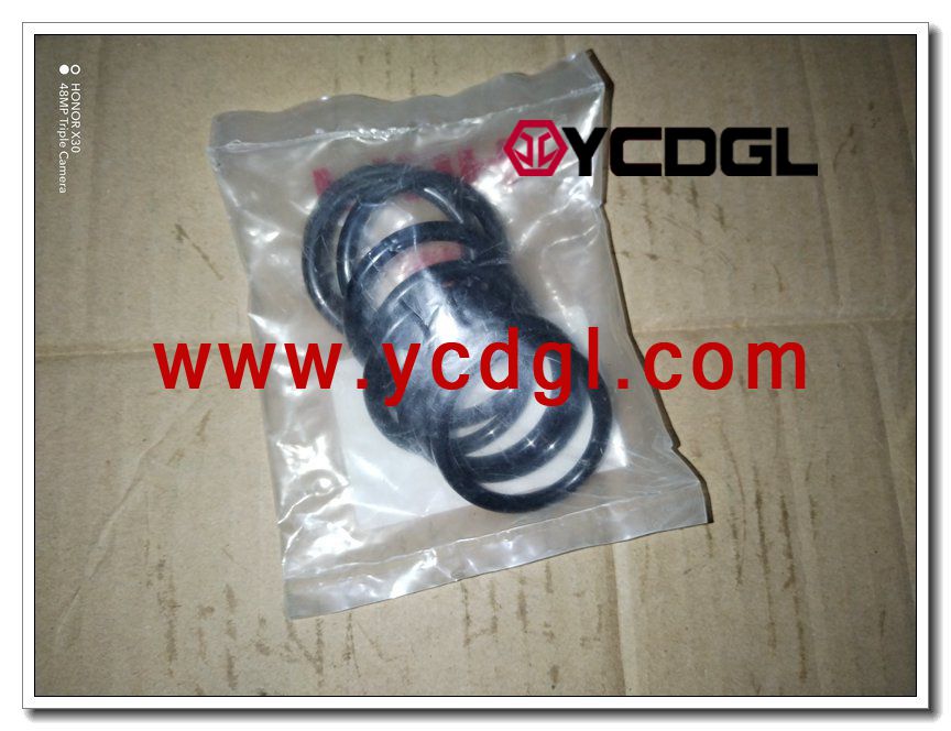 O ring Z6053-04004