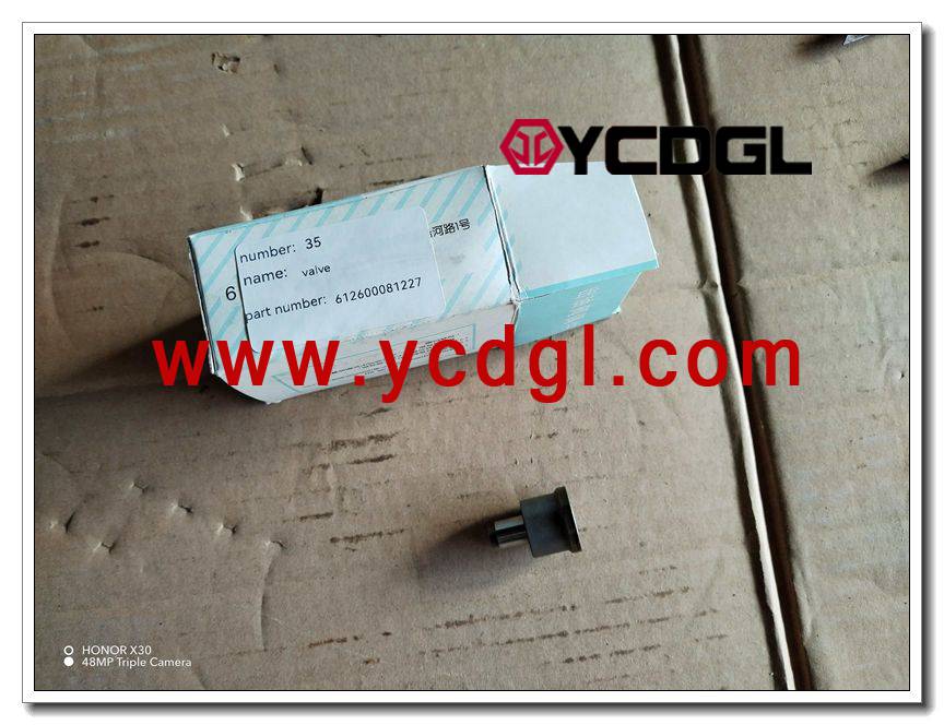 Plunger P597 for WEICHAI