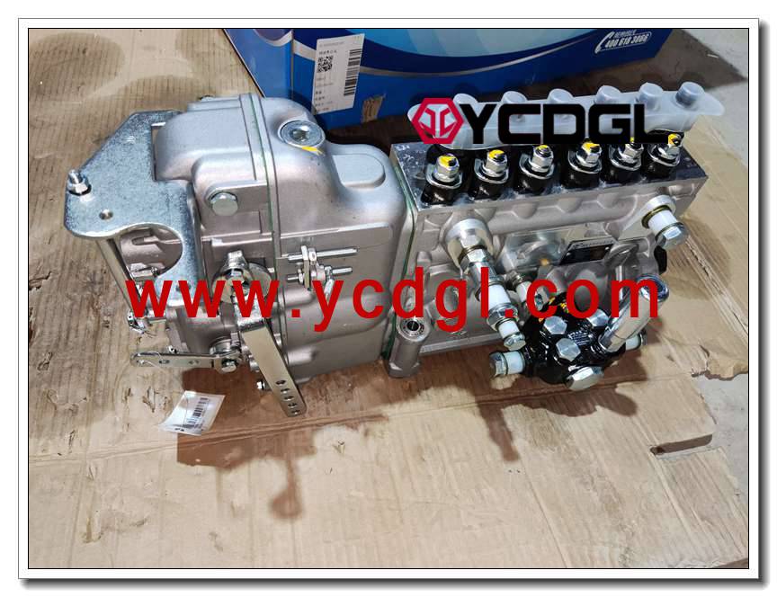 Injection pump 612630080234Y 612630080234