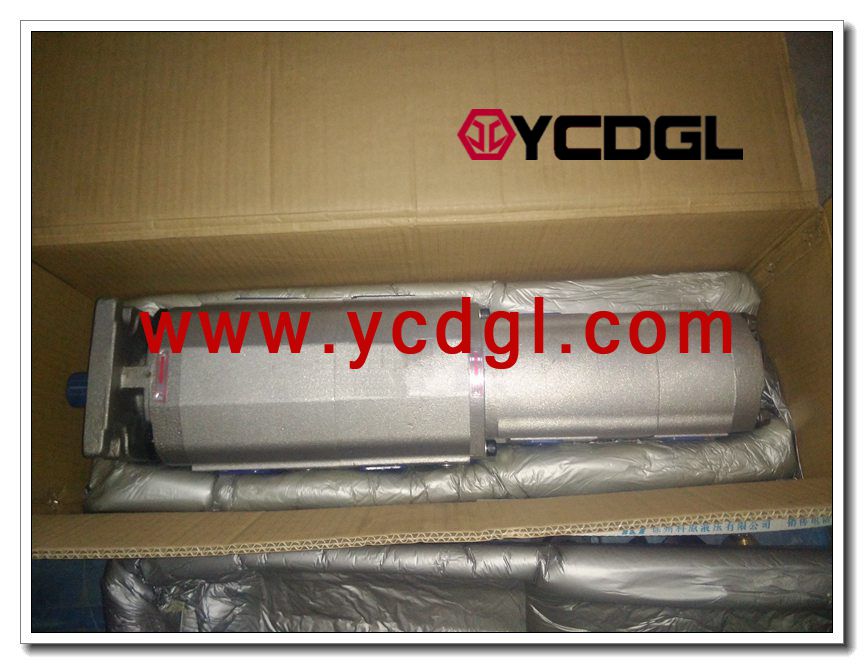 Hydraulic gear pump 803000260