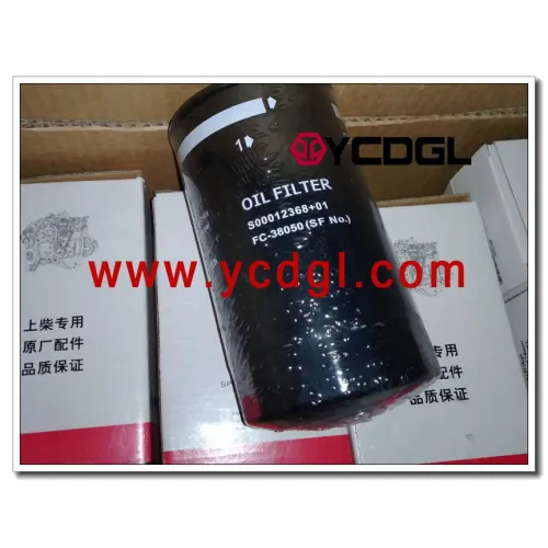 Oil filter element S00012368+01 for SHANGCHAI