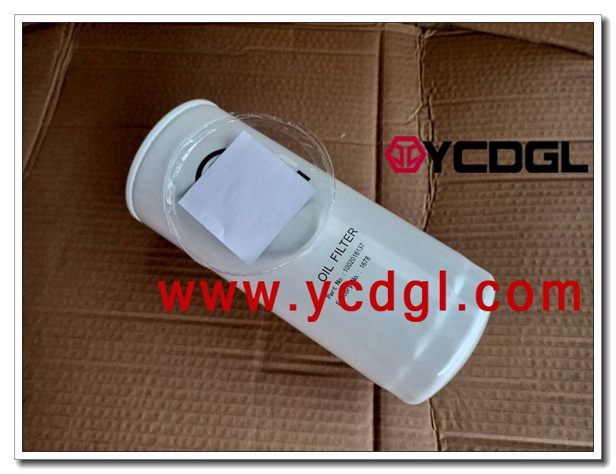 oil filter 1002018137 for weichai
