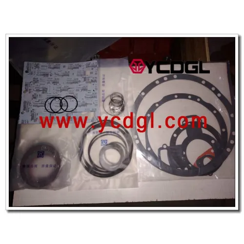 4WG-200 Transmission repair kit for ZF