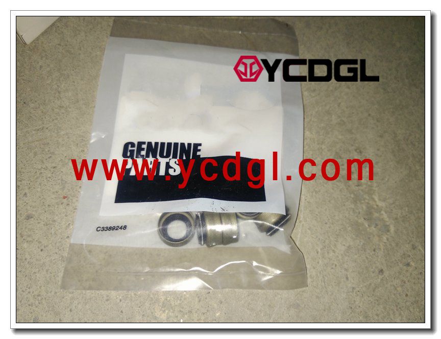 4003966 valve oil seal