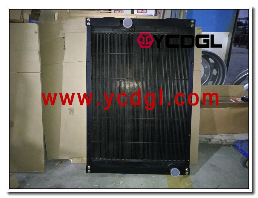 1612013100001 Radiator