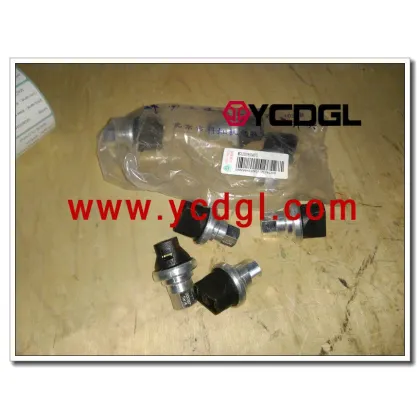 WG1200190040 pressure switch