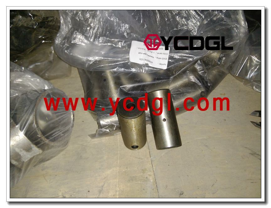 WG880420024 Planetary gear pin