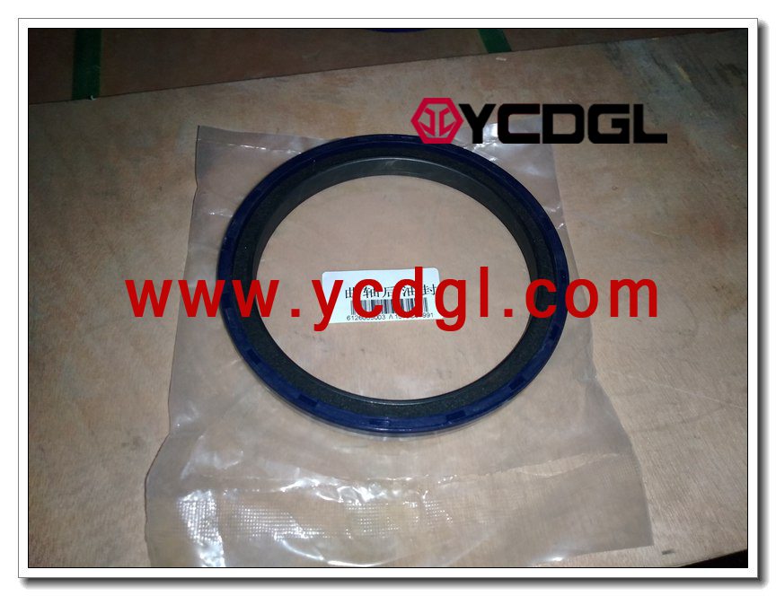 612630030009 Crankshaft rear oil seal