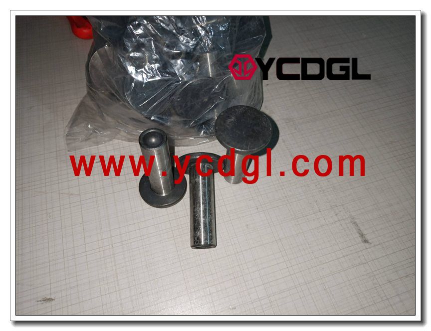 K4100ZD valve lifter for WEICHAI
