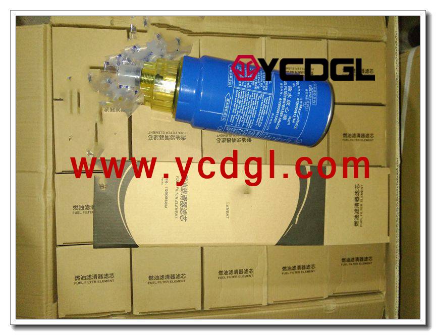 Fuel filter 860113254 for XCMG