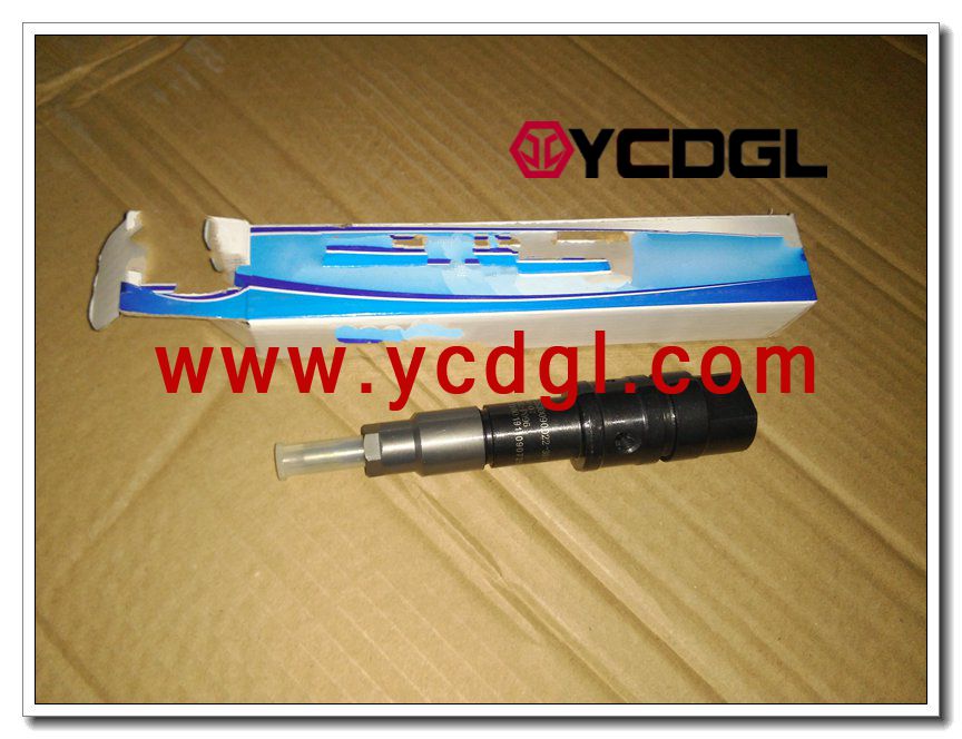 612630090022 Injector