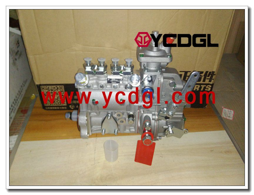 3973846 Injection pump