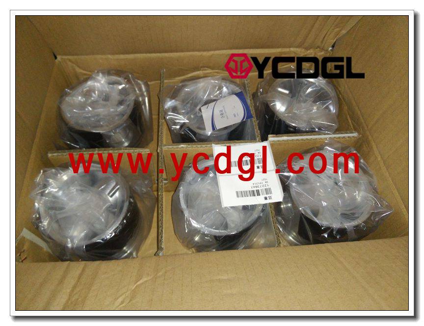 Piston 12273861 for WEICHAI