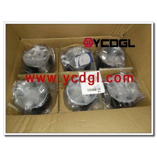 Piston 12273861 for WEICHAI