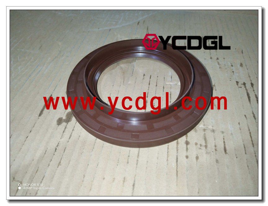 Differential oil seal 2402055-A0E