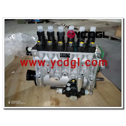 6170ZD-3A.31.00 Injection pump
