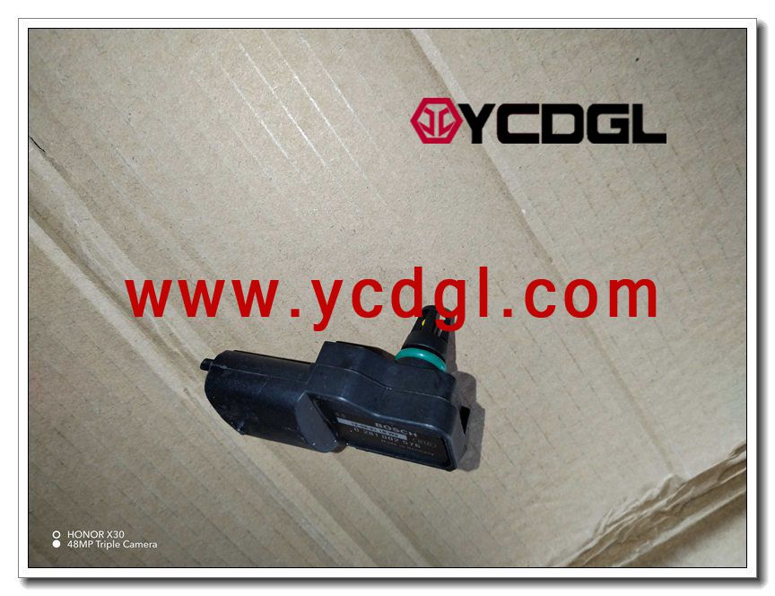 0281002576 Pressure Temperature Sensor