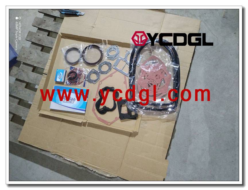WD618 Engine Overhual repair kit