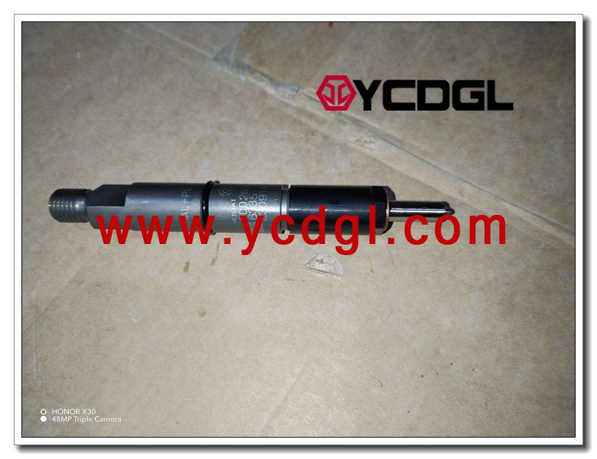 Fuel injector 1002655307 for WEICHAI