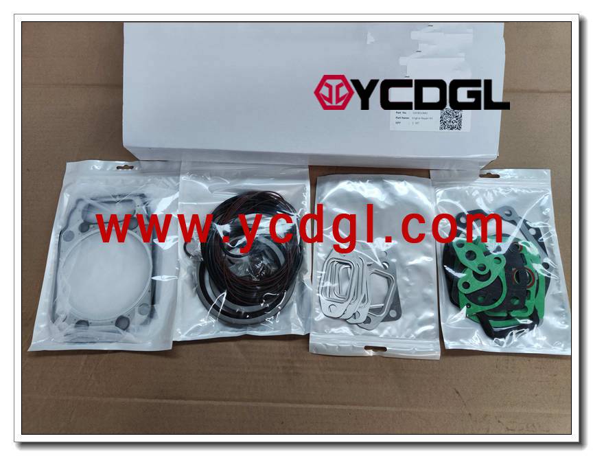 Engine repair kit 1003010841 for WEICHAI