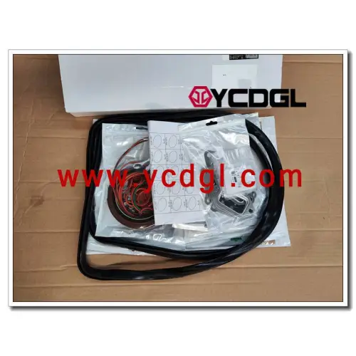 Engine repair kit 1003162606 for WEICHAI