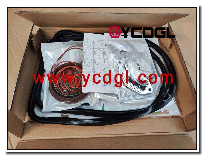 Engine repair kit 1003162606 for WEICHAI