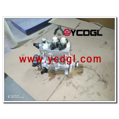 High pressure oil pump 1000161361 for WEICHAI
