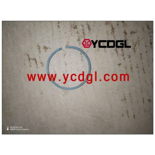Sealing ring 1S04001