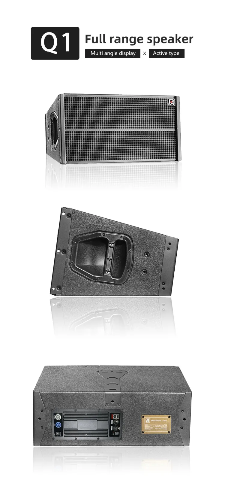 Dual 10” Active Line Array Speaker