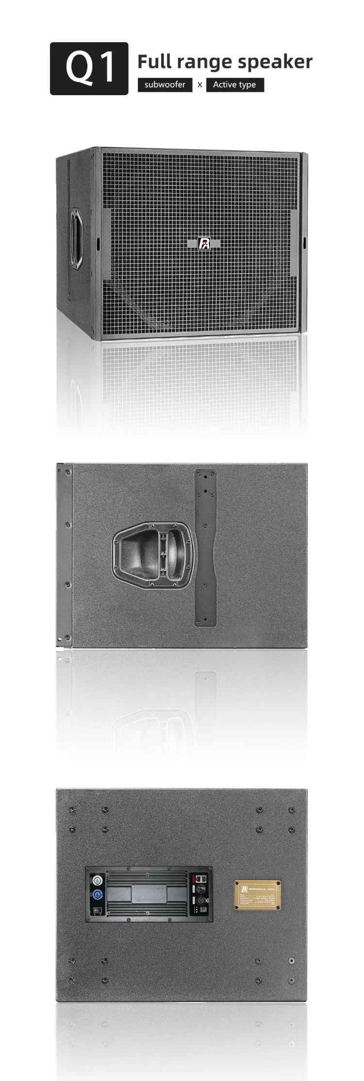Dual 10” Active Line Array Speaker