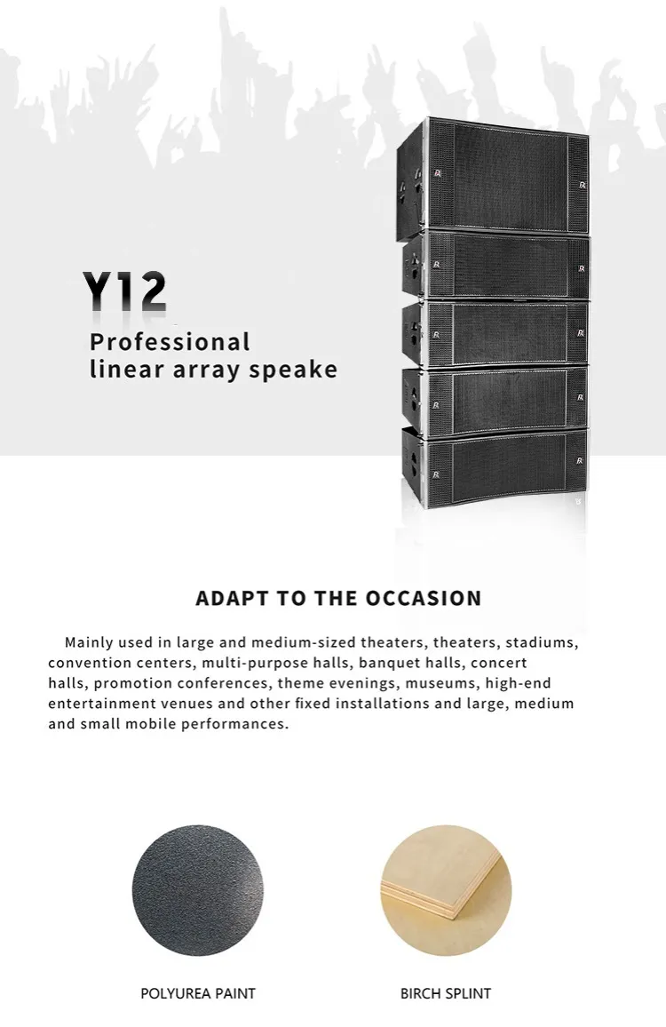 Dual 12 inch Line Array Speaker
