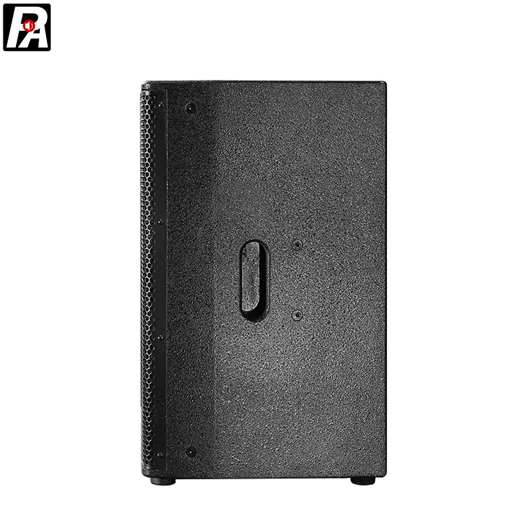 Professional 12" Main Speaker
