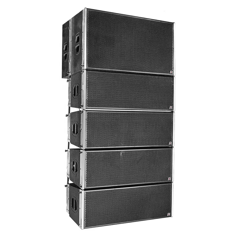 Pro Audio Dual 10" Line Array Speaker
