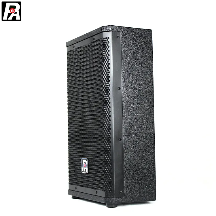 12 inch Monitor Speaker