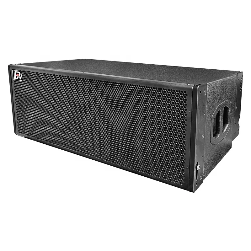 Pro Audio Dual 10" Line Array Speaker