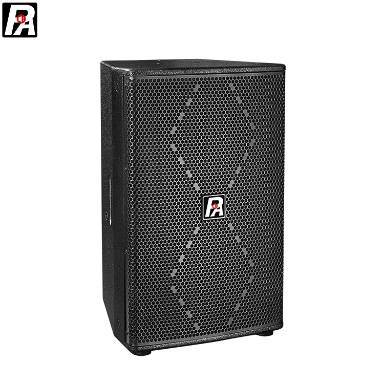 Professional 12" Main Speaker