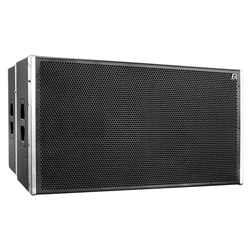 Pro Audio Dual 10" Line Array Speaker