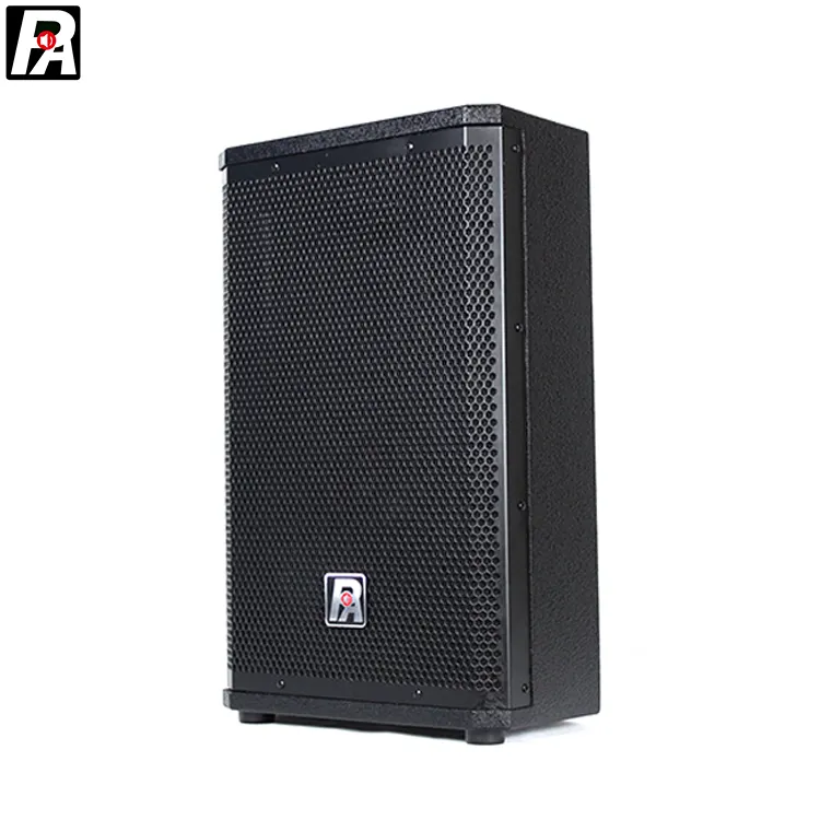 12 inch Monitor Speaker