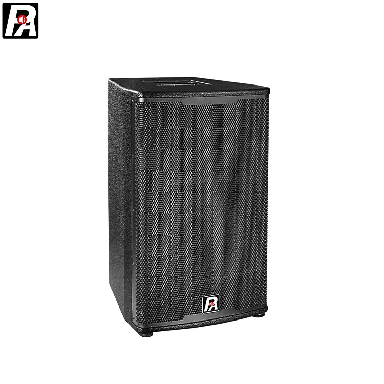 Professional 15" PA Speaker