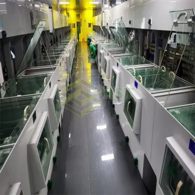 PCB Developing Machine| Hebei Ruisite