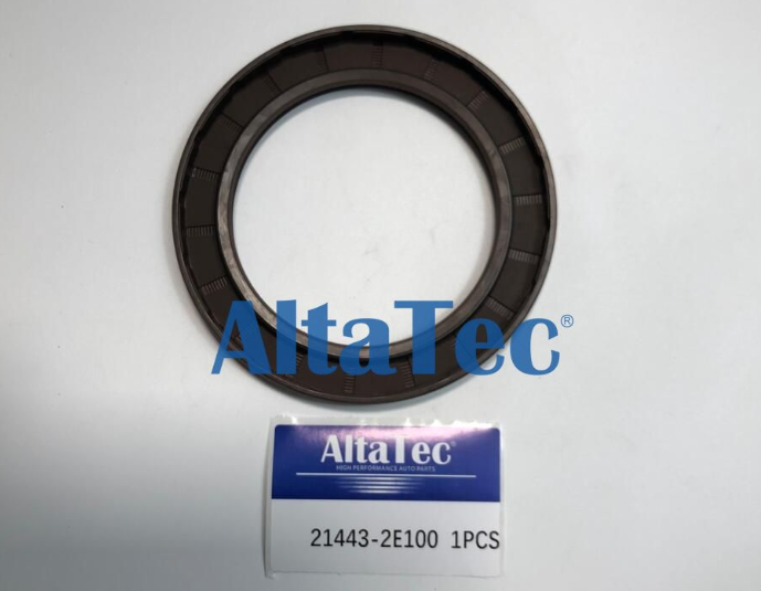 21443-2e100