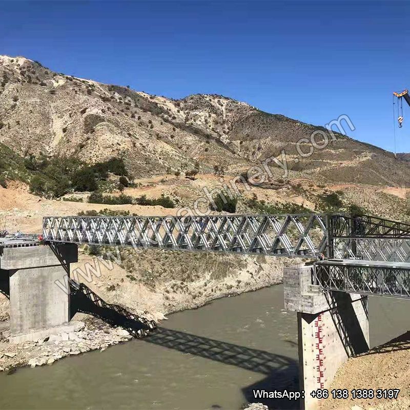 Long-Span Truss Bridges