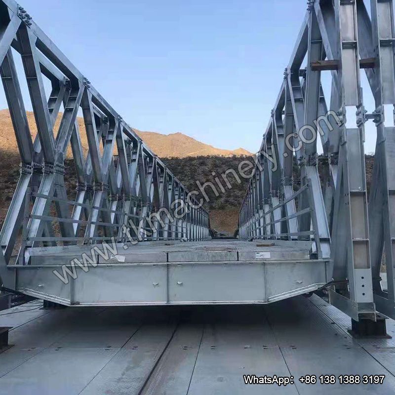 Long-Span Truss Bridges