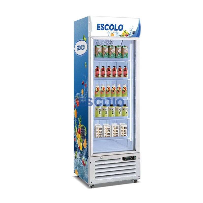 Upright Showcase Refrigerator Manufacturer