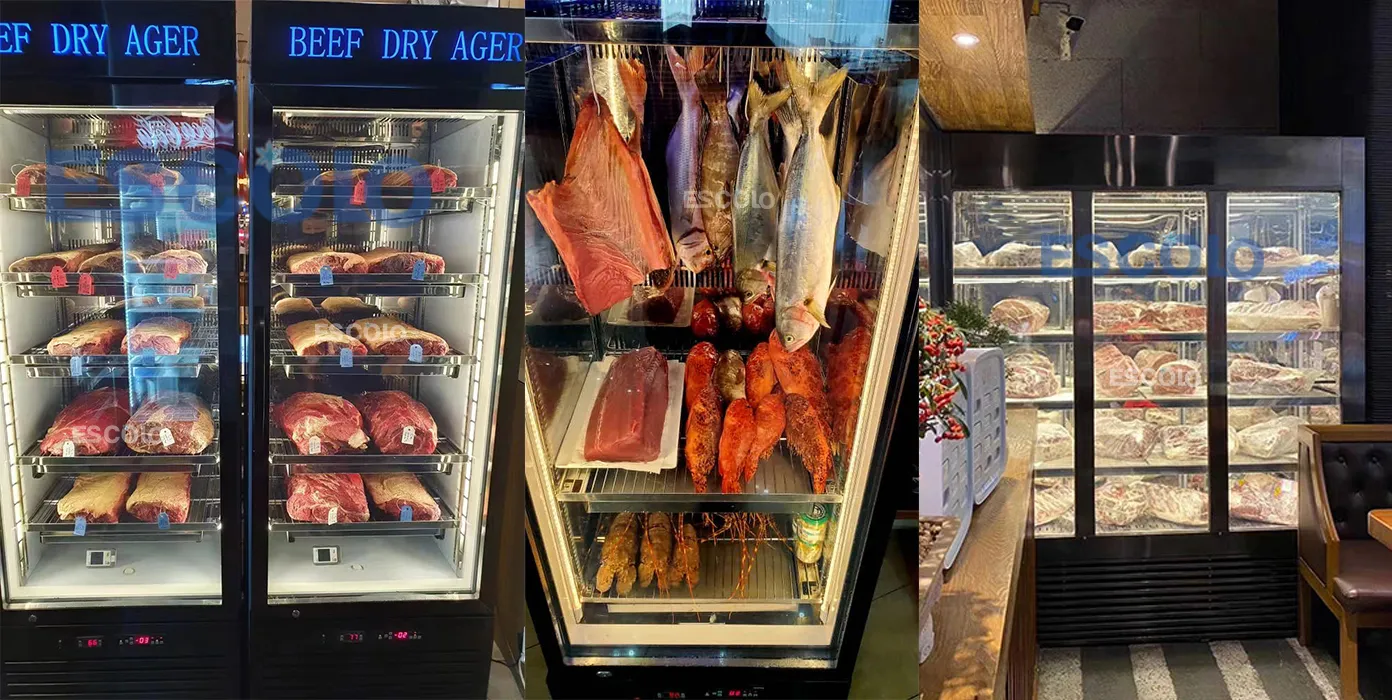 Commercial Beef Dry Aging Fridge Refrigerator Built In Beef Aging