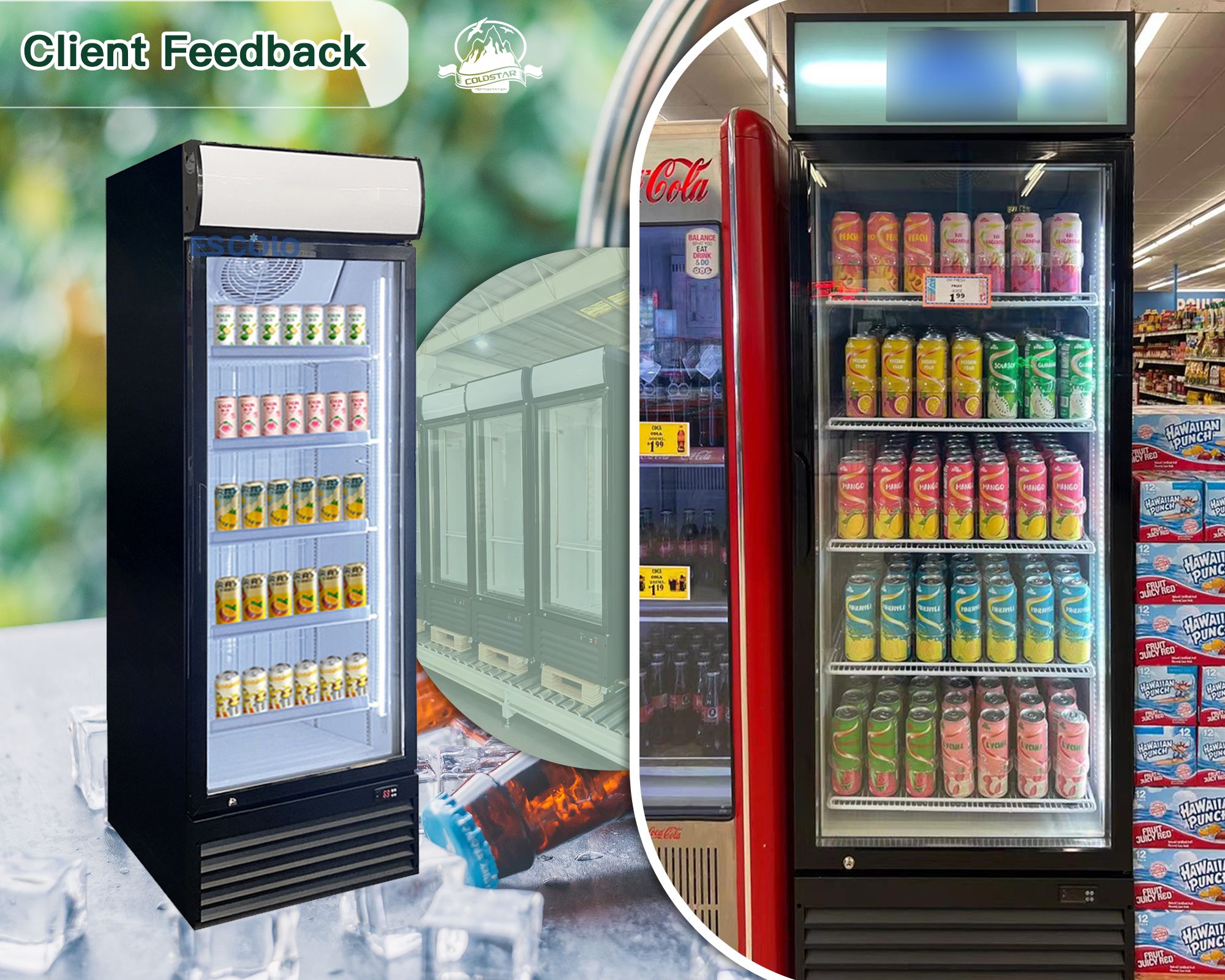 Commercial Cold Drinks Display Fridge, China