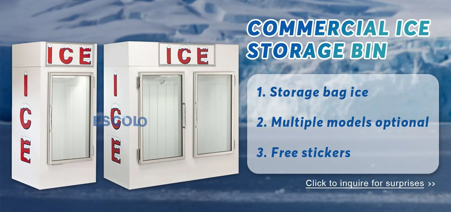 Indoor Bagged Ice Merchandiser