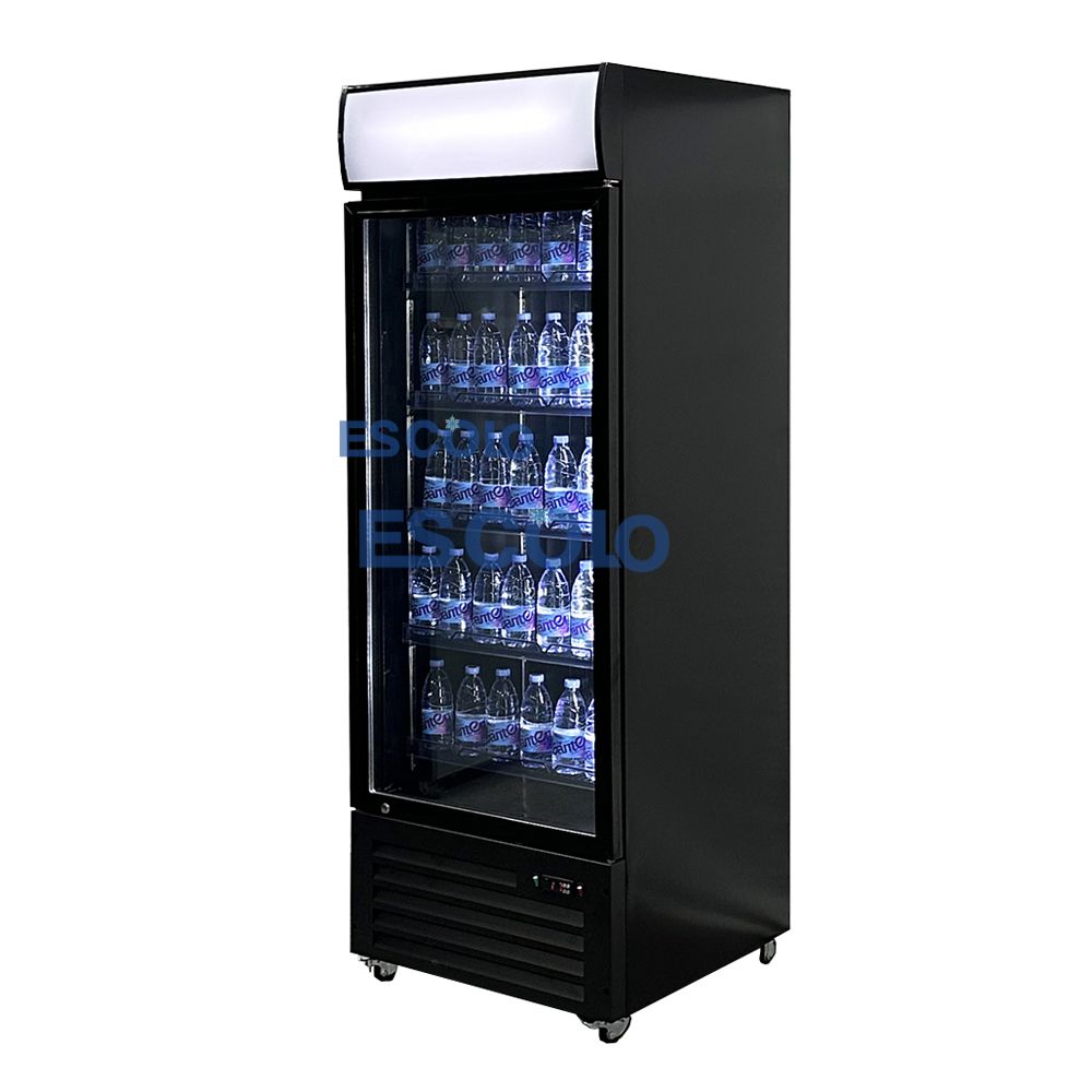 Commercial Cold Drinks Display Fridge, China