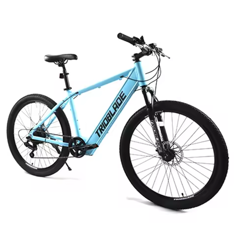 Electric Bike 25