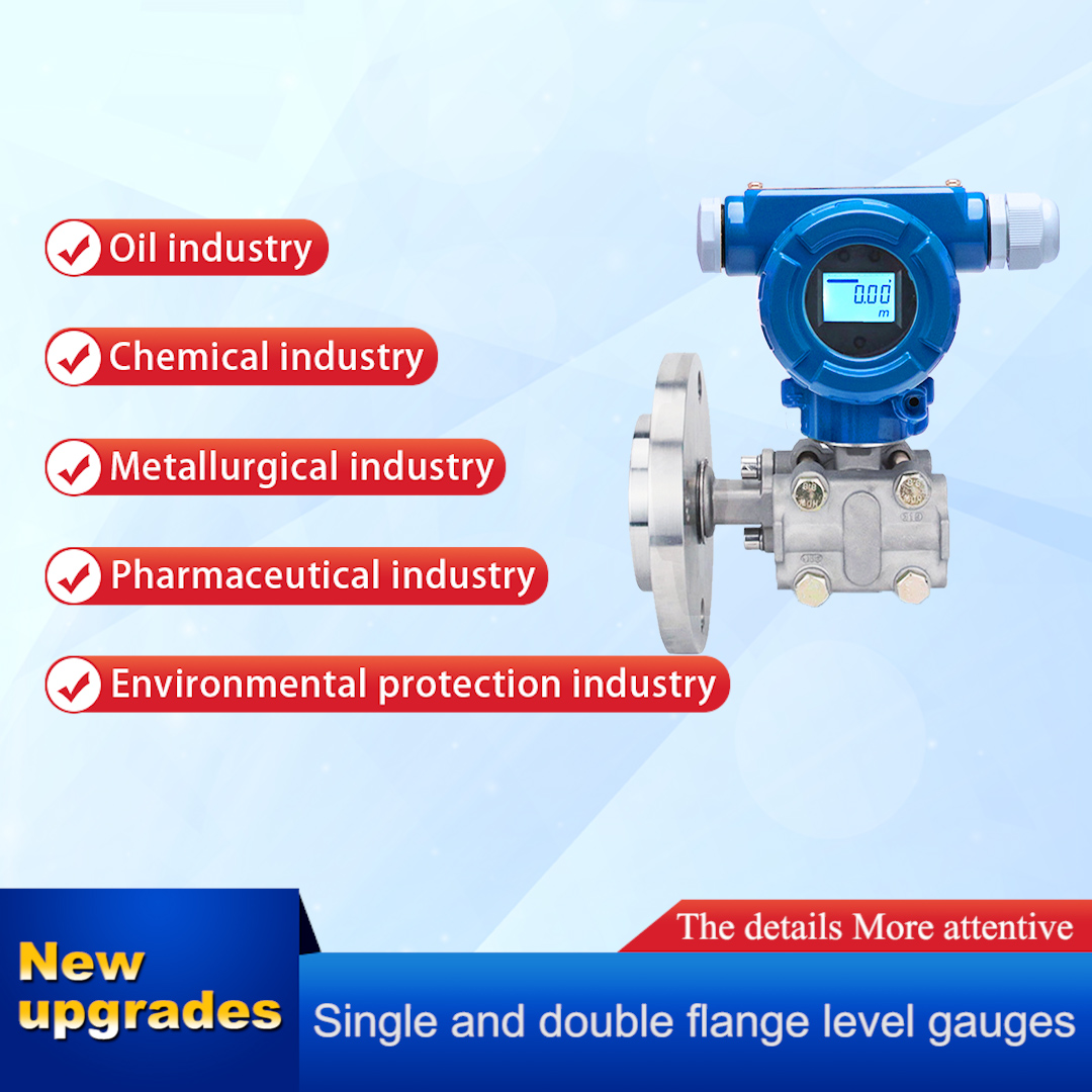 single-double-flange-level-gauge